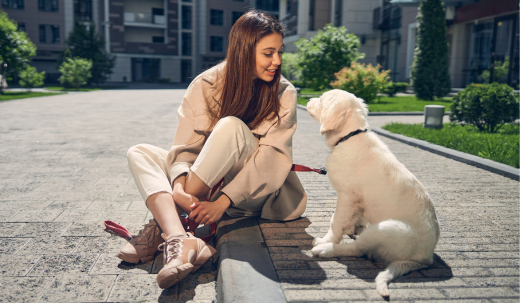 The Science of Dog Eye Contact: Building Bonds, Trust, and Better Trai ...