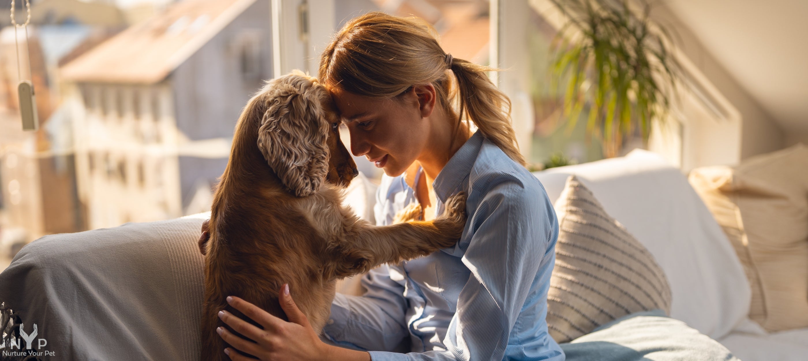 Ultimate Guide for Bonding with Your Dog – Nurture Your Pet