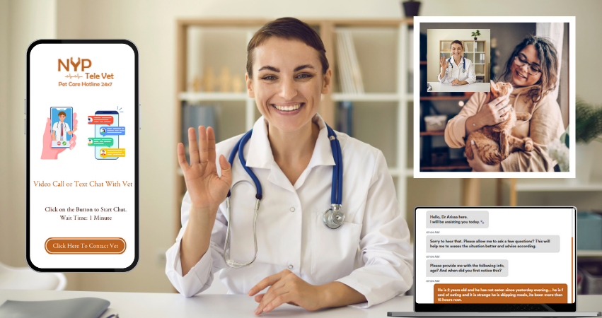 NYP TeleVet 24/7 – Nurture Your Pet