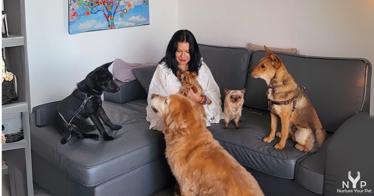 Animal Communication & Holistic Care - Transformative Power | Nurture ...